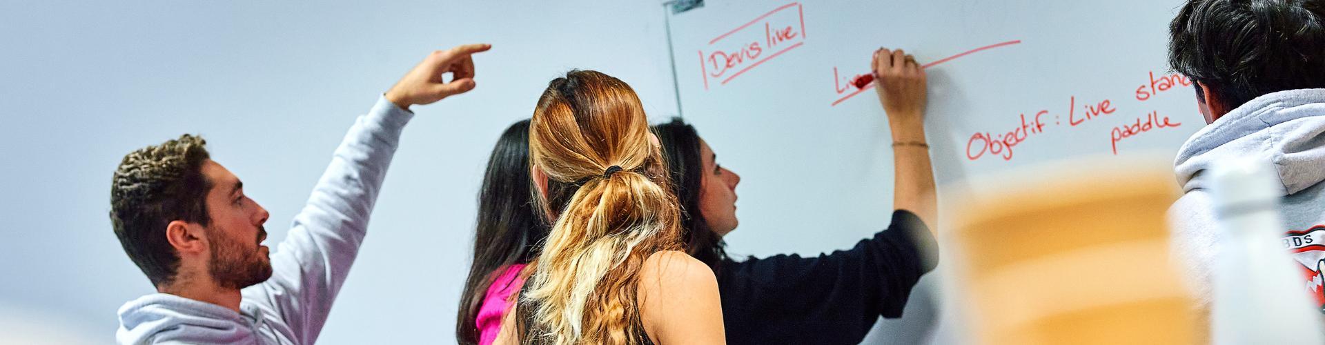 Grenoble IAE - INP, UGA